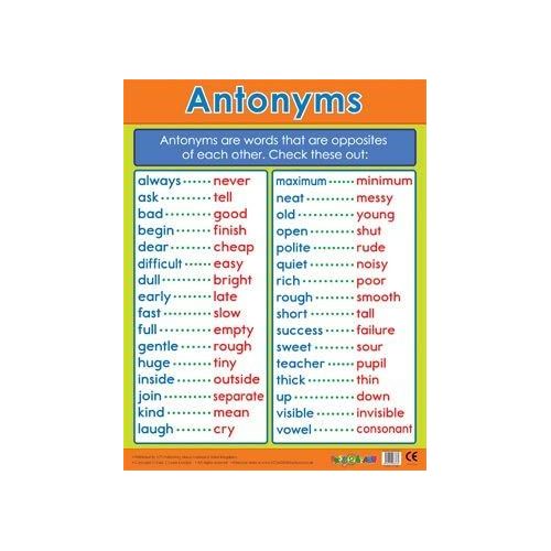 Antonyms Literacy School Poster