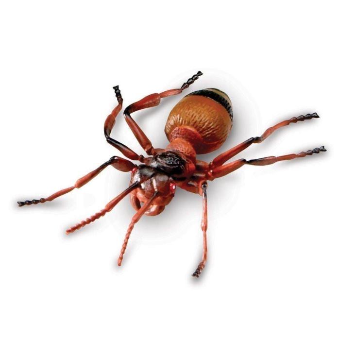 Jumbo Insects