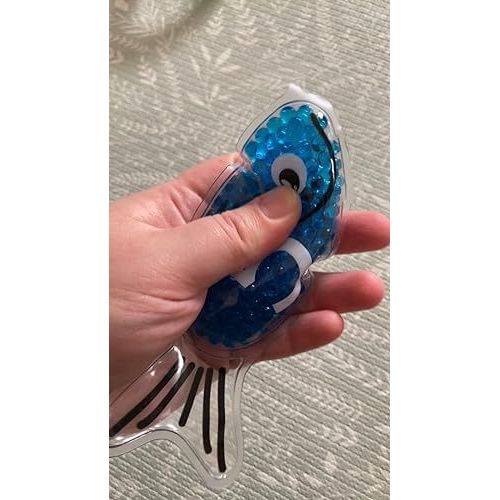 Bubble and Squish Fish